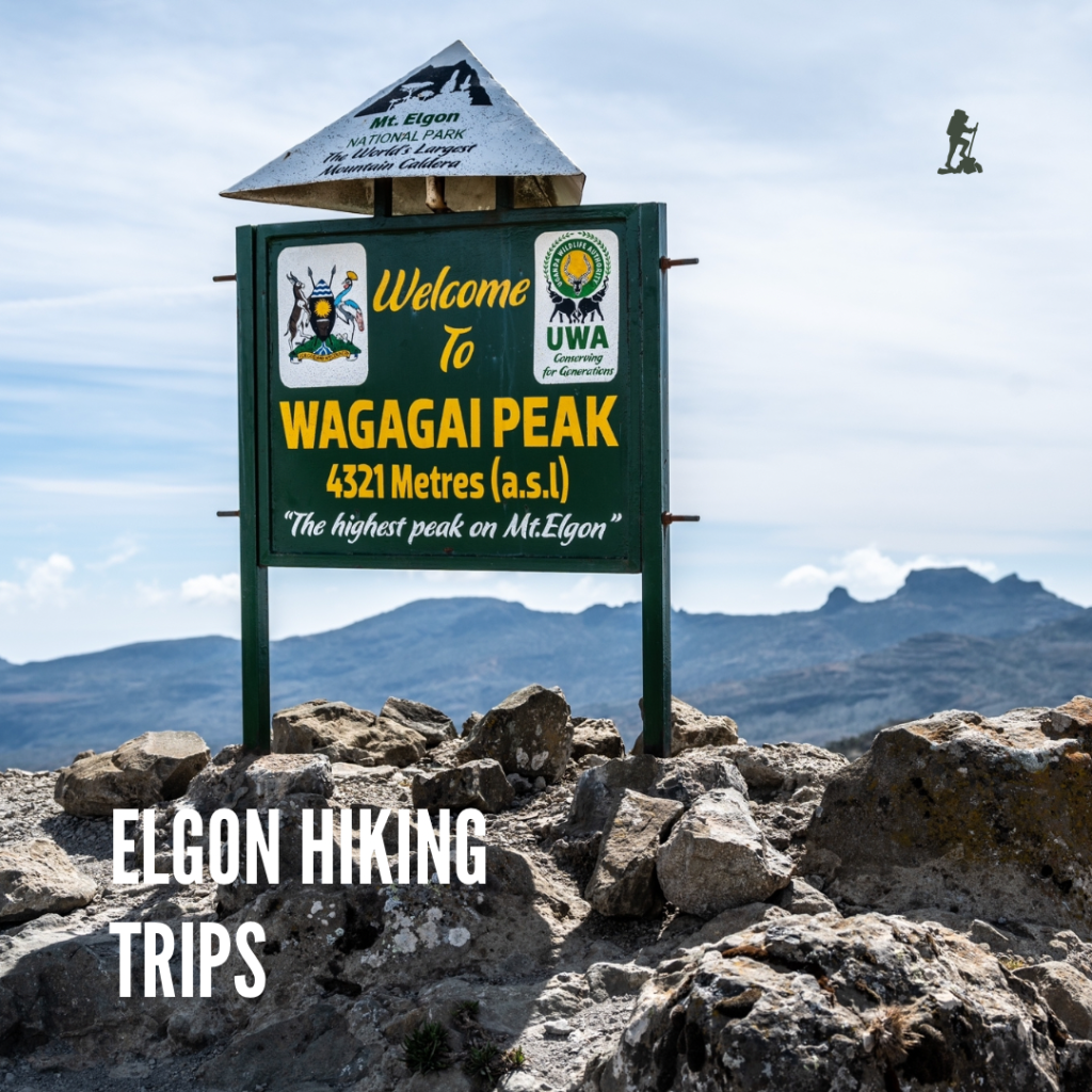 Hiking Mount Elgon - Early Trails Expeditions